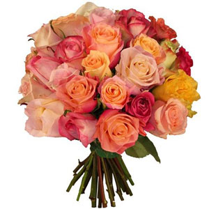 Bouquet de roses "25 ROSES D EQUATEUR" - Livraison Express | Florajet
