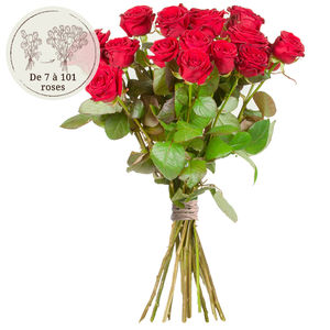 Bouquet de roses "15 GRANDES ROSES ROUGES" - Livraison Express | Florajet