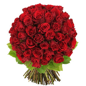 Bouquet de 70 roses rouges - Livraison Express | Florajet