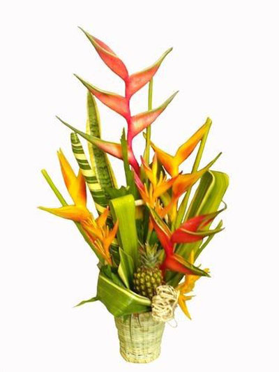 Livraison de fleurs au Sénégal | Florajet