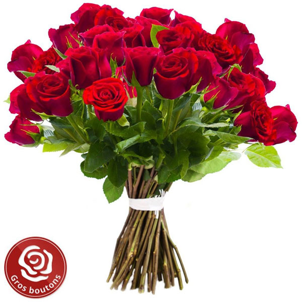 Les Roses "30 ROSES ROUGES GROS BOUTONS" - Livraison Express | Florajet