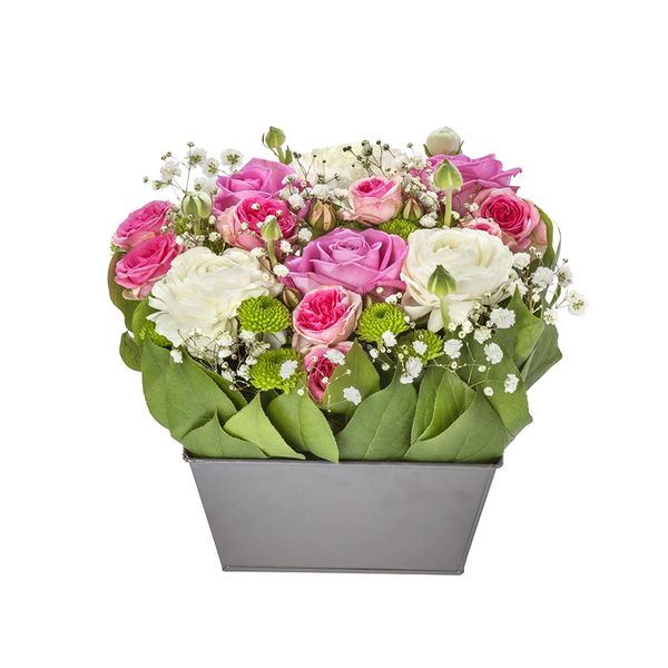 Composition "RISETTE" - Livraison Express | Florajet