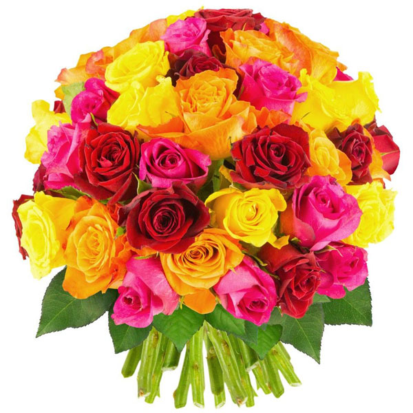 Bouquet de roses "50 ROSES MULTICOLORES" - Livraison Express | Florajet