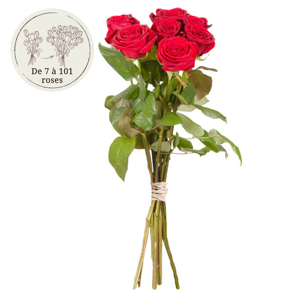 Bouquet de 9 roses rouges - Livraison Express | Florajet