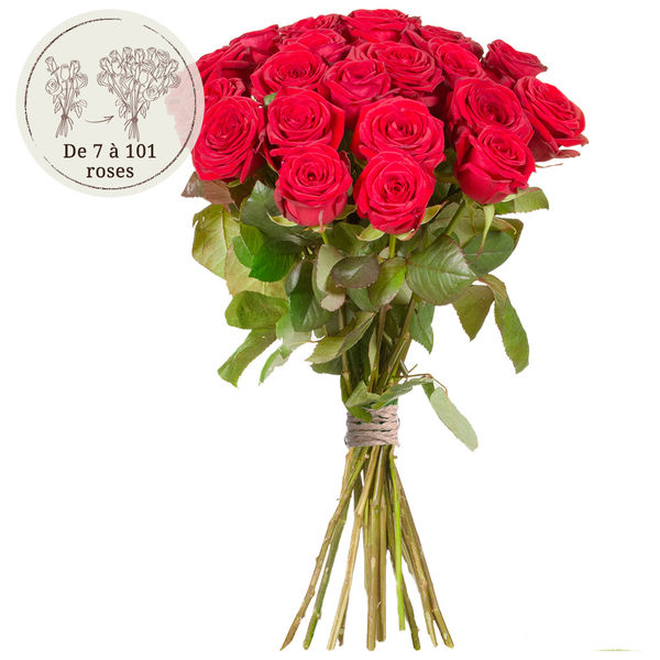 Bouquet de roses "33 GRANDES ROSES ROUGES" - Livraison Express | Florajet