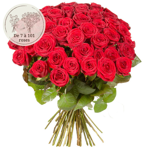 Bouquet de roses "54 GRANDES ROSES ROUGES" - Livraison Express | Florajet