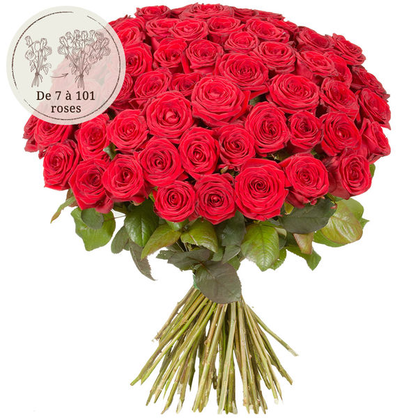 Bouquet de roses "60 GRANDES ROSES ROUGES" - Livraison Express | Florajet