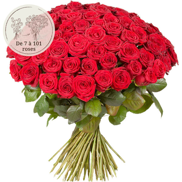 Bouquet de roses "83 GRANDES ROSES ROUGES" - Livraison Express | Florajet