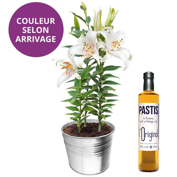 Cadeaux insolites "LYS EN POT + PASTIS OR" - Livraison Express | Florajet
