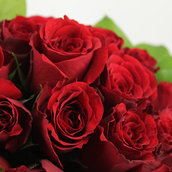 Bouquet de 40 Roses Rouges - Livraison en Express | Florajet