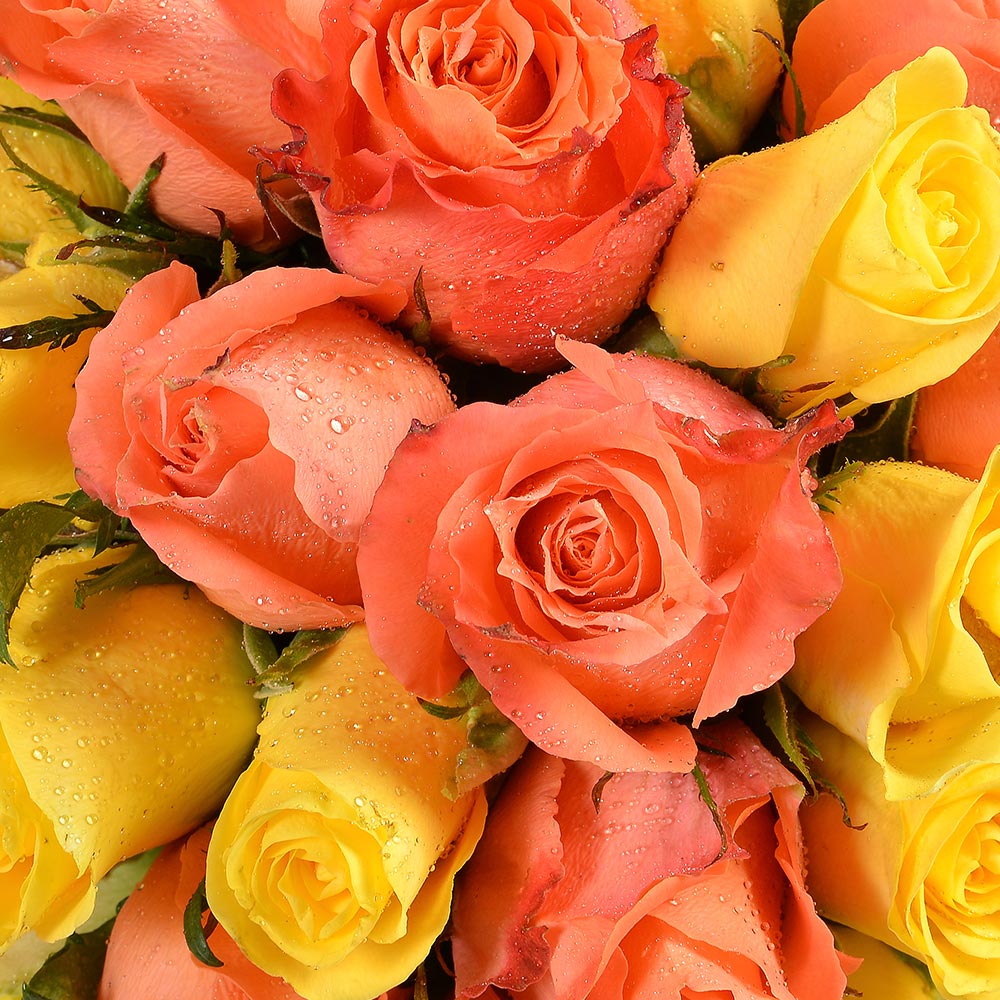 Bouquet de roses "30 ROSES JAUNES ET ORANGE + VASE" - Livraison Express ...