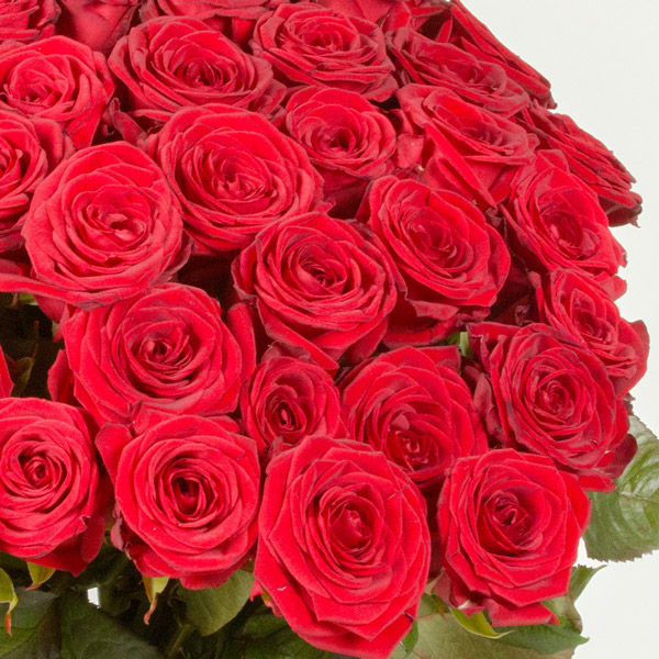 Bouquet de roses "58 GRANDES ROSES ROUGES" - Livraison Express | Florajet