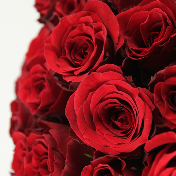 Bouquet de roses "BOUQUET DE 80 ROSES ROUGES" - Livraison Express ...