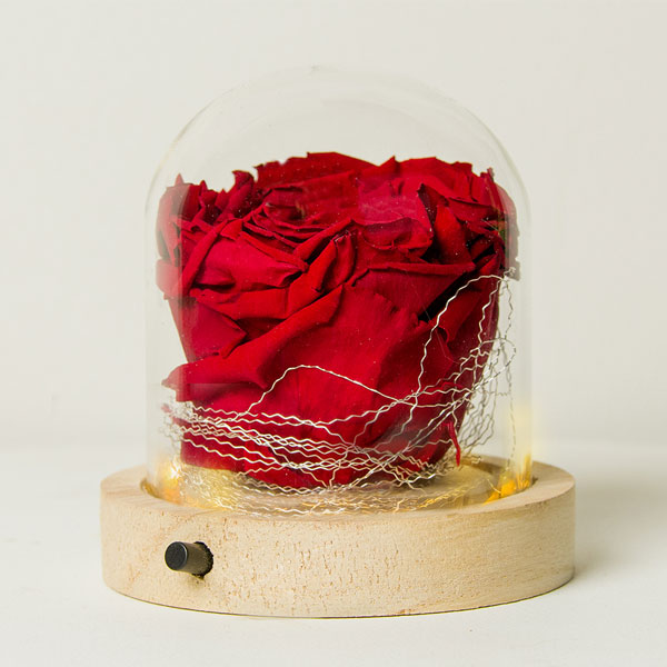 Bouquet de roses "ROSE ETERNELLE ROUGE + CLOCHE LUMINEUSE" - Livraison ...