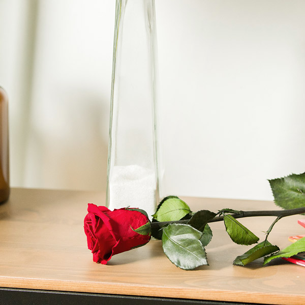 Bouquet de roses "ROSE ETERNELLE 70CM + SOLIFLORE" - Livraison Express ...