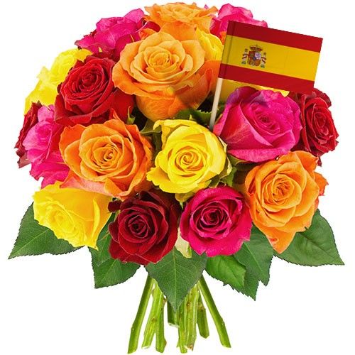 Cadeaux insolites "20 ROSES MULTICOLORES + DRAPEAU ESPAGNOL ...