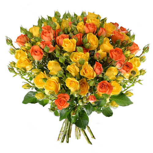 Bouquet de Roses Branchues livré En Express | Florajet