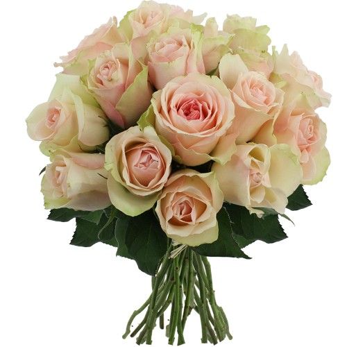 Bouquet de roses "20 ROSES ROSES" - Livraison Express | Florajet