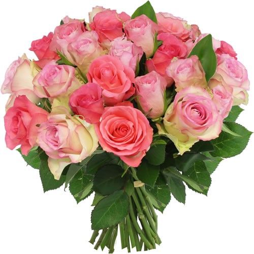 Bouquet de roses "20 ROSES ROSES" - Livraison Express | Florajet