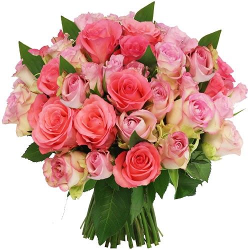 Bouquet de roses "40 ROSES ROSES" - Livraison Express | Florajet